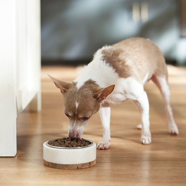 VICTOR Classic Hi-Pro Plus Formula Dry Dog Food, 50-lb bag - Chewy.com