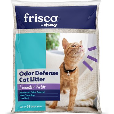 FRISCO CAT LITTER (Free Shipping) | Chewy