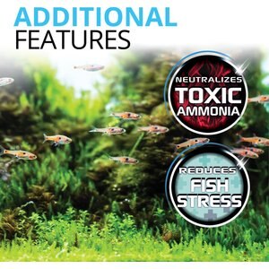 10 Best Filter Media for Freshwater Aquariums 2025: According to ...