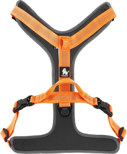 10 Best Front Clip Dog Harnesses 2023: According to Reviews | Chewy