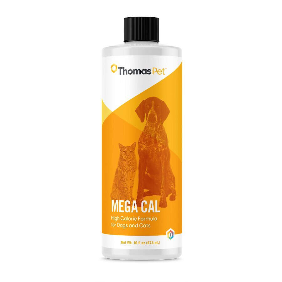 Questions and Answers about THOMAS LABS Mega Cal High Calorie Liquid ...