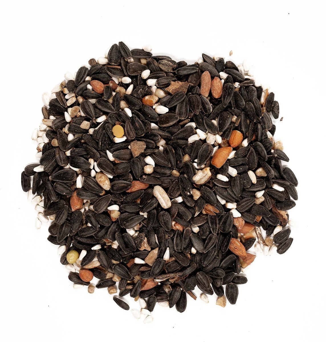 WAGNER'S Gourmet Songbird Wild Bird Food, 5-lb bag - Chewy.com