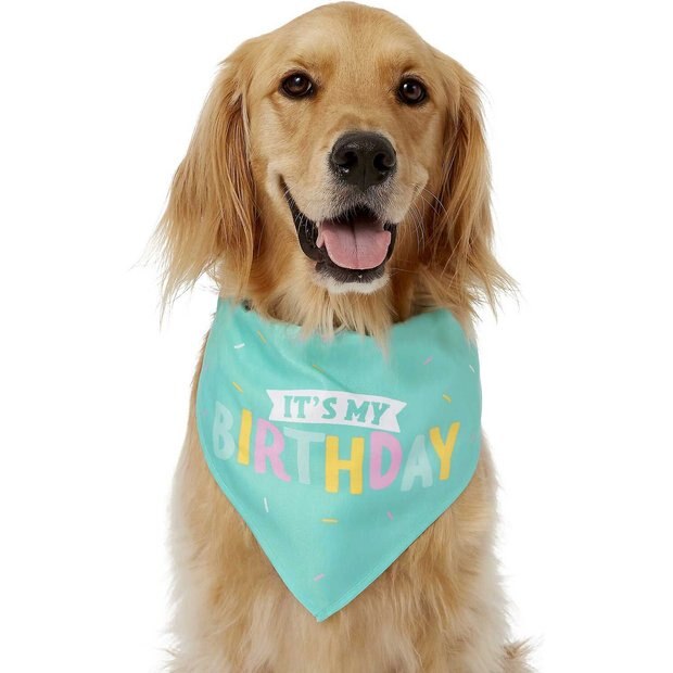 Dog Birthday Supplies - Free shipping | Chewy