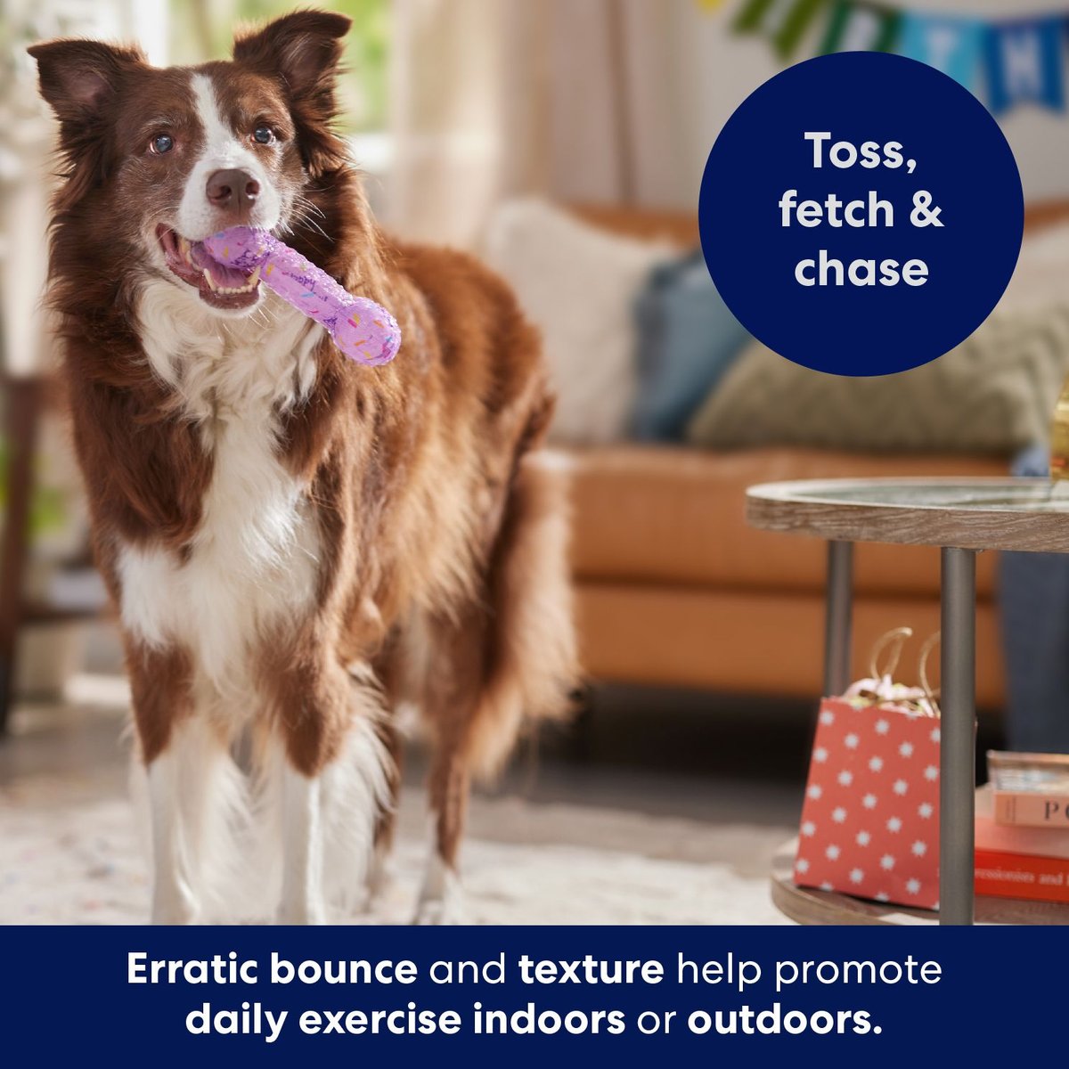 FRISCO Birthday TPR Fetch Bone Squeaky Dog Toy, Purple, Medium/Large ...