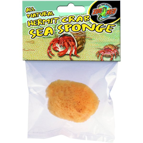 ZOO MED Hermit Crab Sea Sponge - Chewy.com