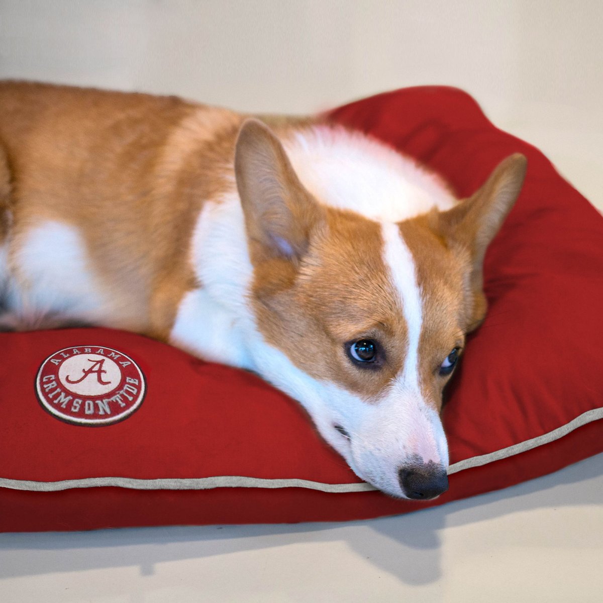 PETS FIRST NCAA Football Pillow Dog Bed, Alabama Crimson Tide - Chewy.com