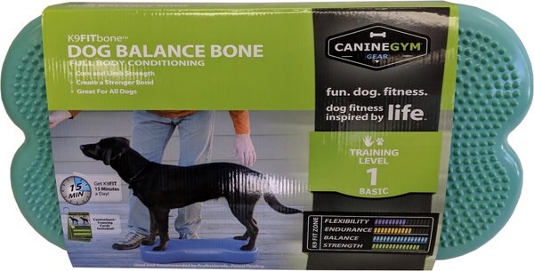 FITPAWS K9FITbone Dog Training Regular Balancing Bone, Aqua - Chewy.com