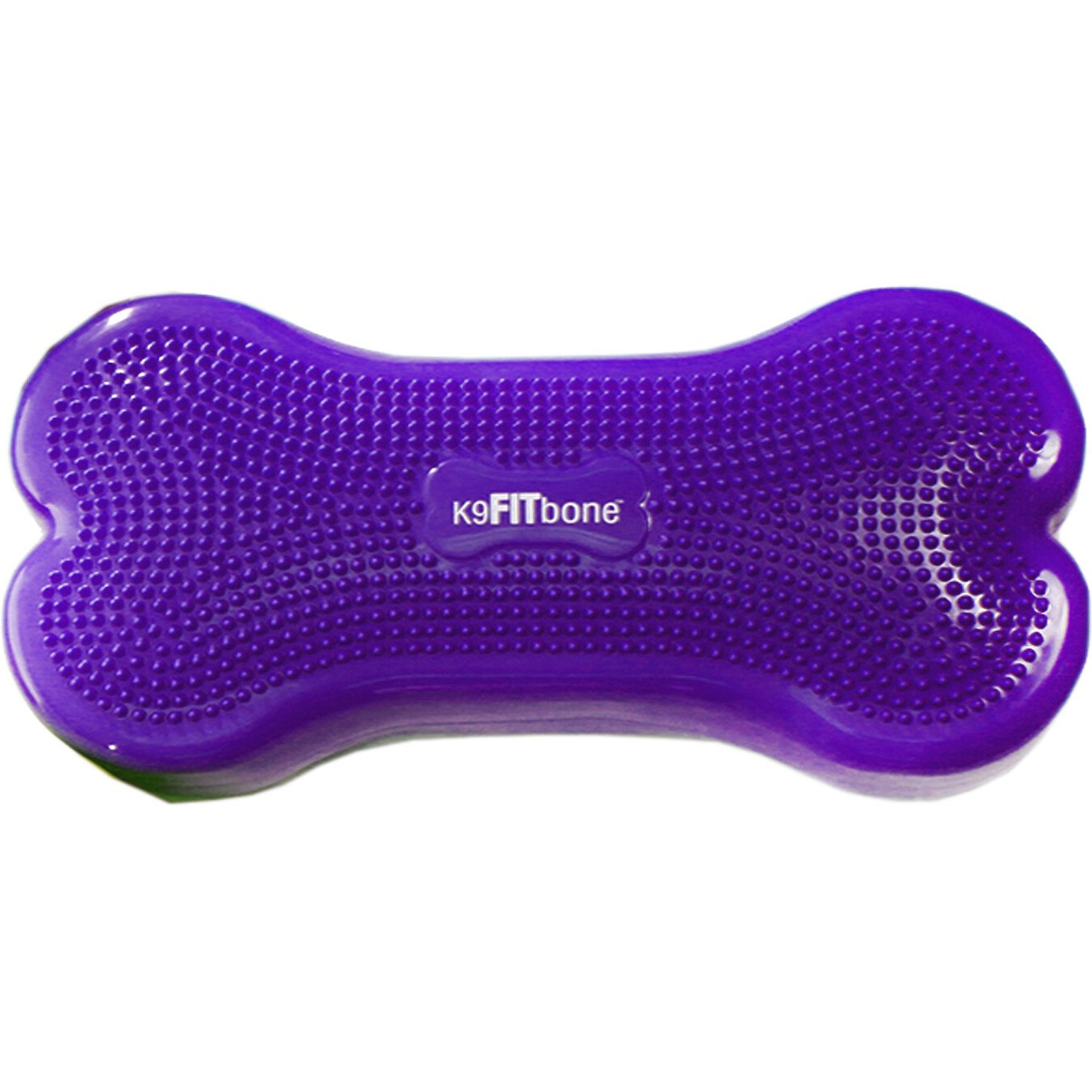 FITPAWS K9FITbone Dog Training Regular Balancing Bone, Purple - Chewy.com