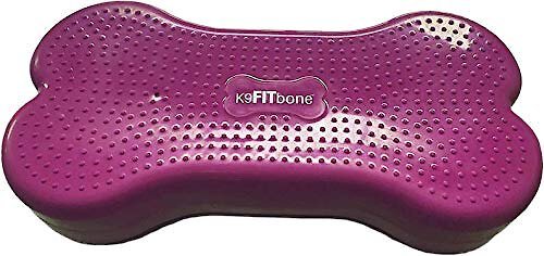 FITPAWS K9FITbone Dog Training Regular Balancing Bone, Razzleberry ...