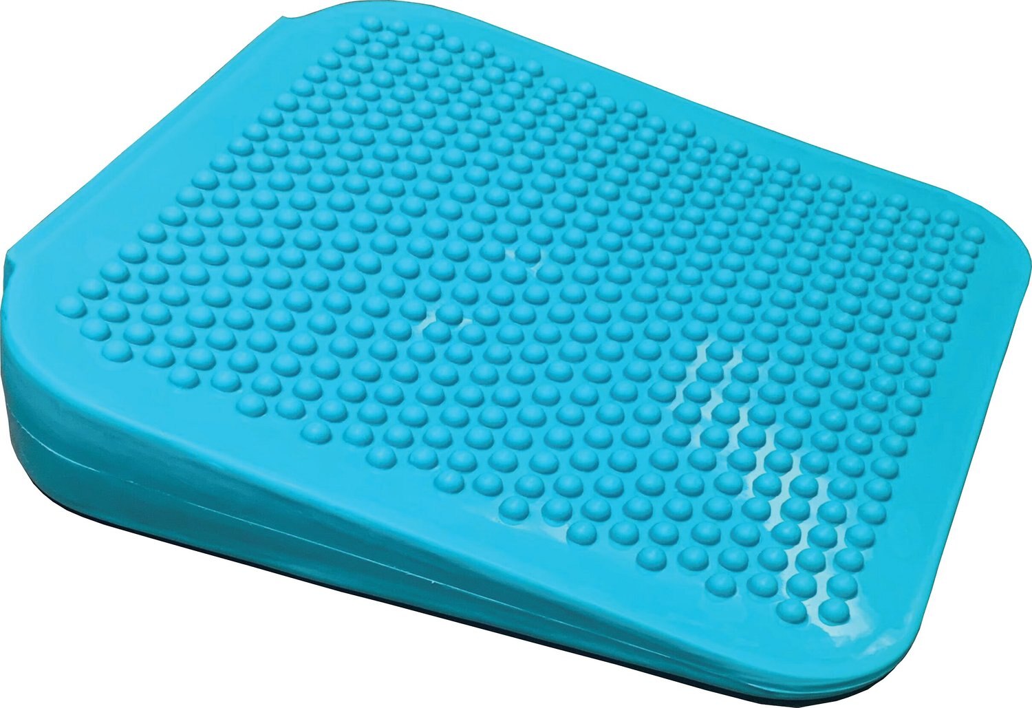 FITPAWS Dog Balancing Ramp, Aqua - Chewy.com