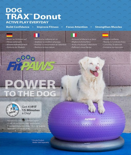 FITPAWS TRAXDonut Dog Balancing Kit, Purple - Chewy.com