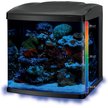 Out of Stock - CORALIFE LED BioCube Aquarium Kit, 32-gal - Chewy.com