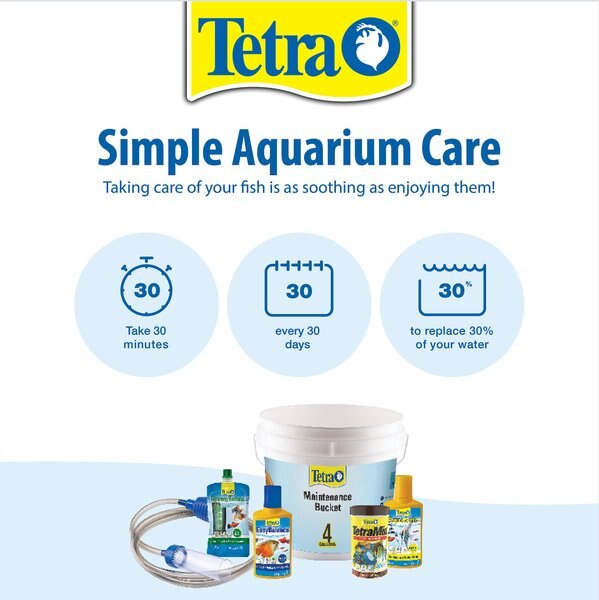 TETRAFAUNA Aquatic Turtle Deluxe Aquarium Kit, 20-gal - Chewy.com