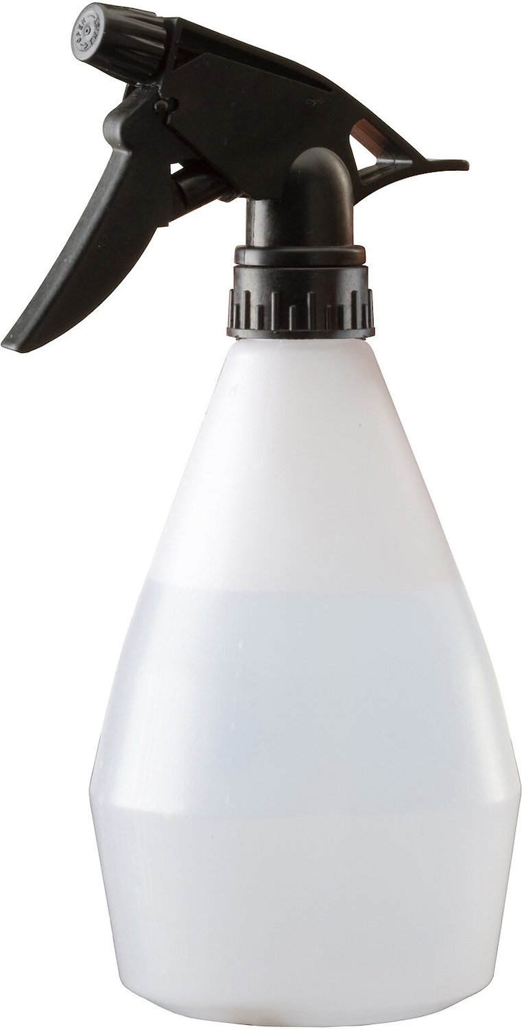 EXO TERRA Mini Mister Spray Bottle - Chewy.com