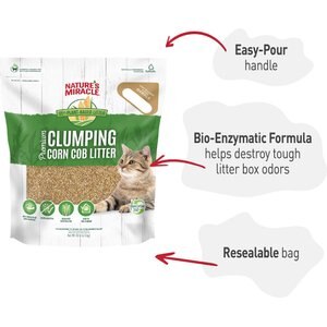 10 Best Scented Cat Litters 2024: According to Reviews | Chewy