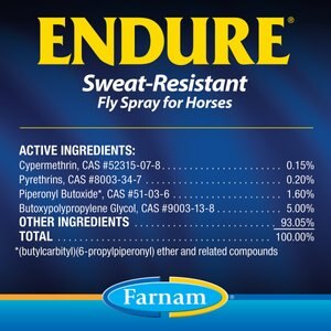 10 Best Fly Sprays for Horses 2024: According to Reviews | Chewy