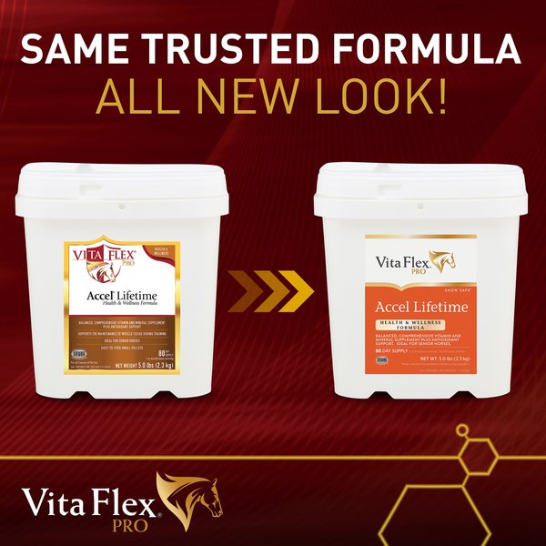 VITA FLEX PRO Accel Lifetime Health & Wellness Formula Pellets Horse ...