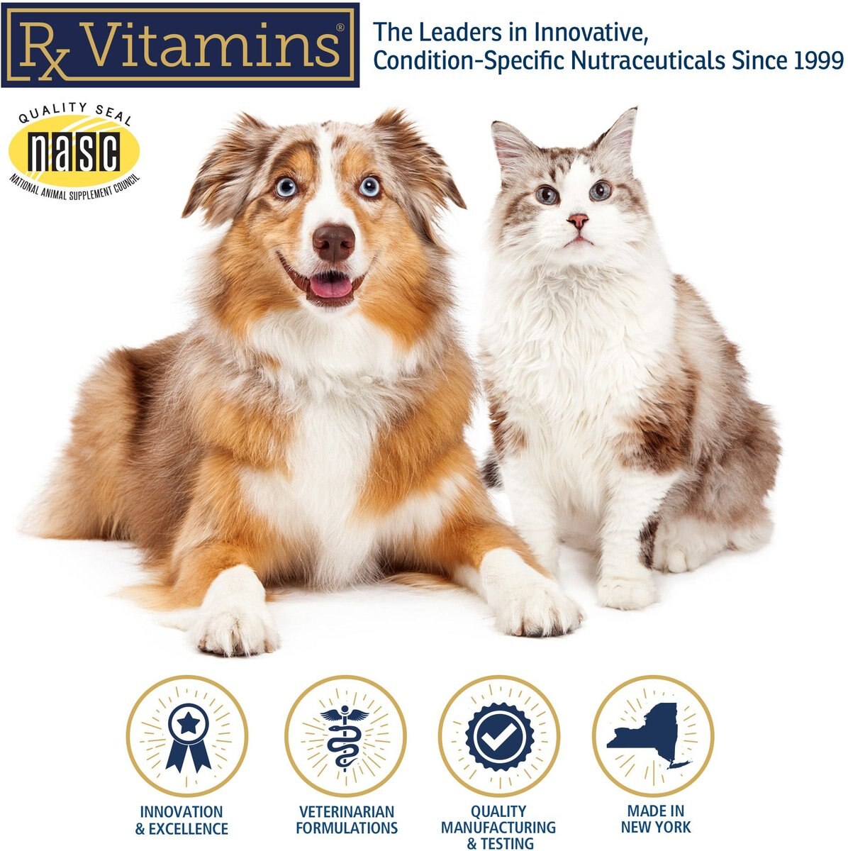 RX VITAMINS Amino B-Plex Liquid Nutritional Supplement for Cats & Dogs ...
