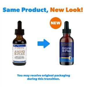 10 Best Nutrition Supplements for Dogs 2024: According to Reviews | Chewy