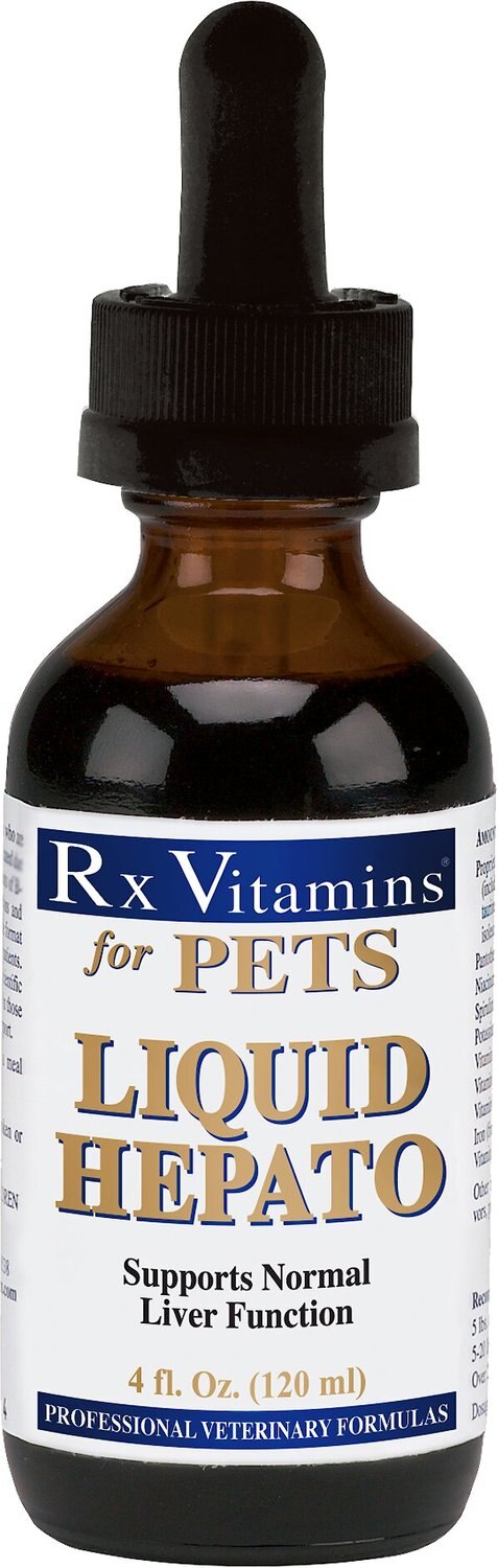RX VITAMINS Hepato Liquid Liver Supplement for Cats & Dogs, 4-oz ...