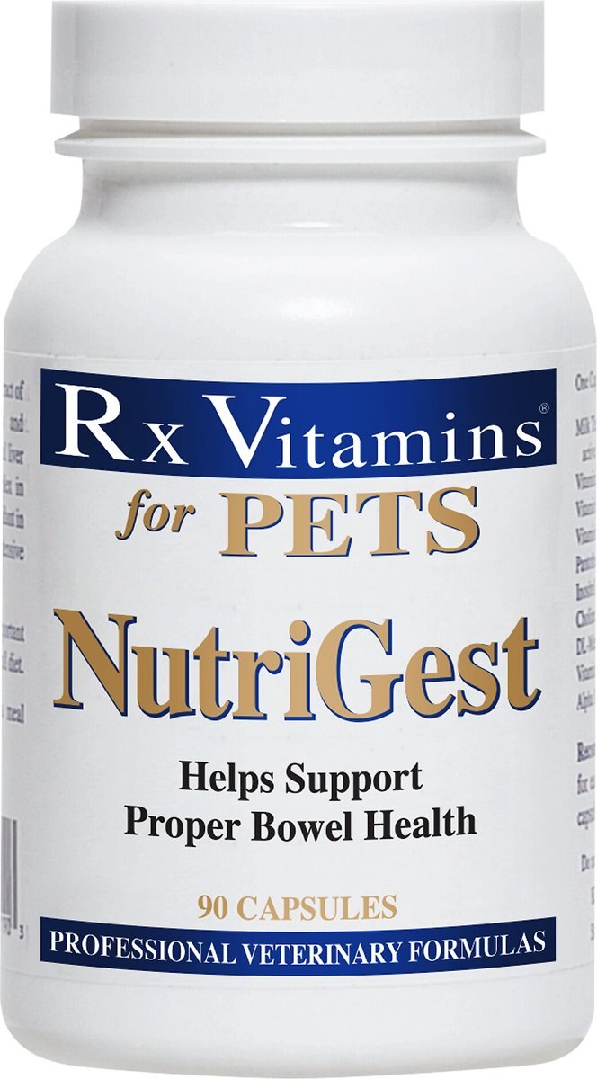 RX VITAMINS Nutrigest Capsules Digestive Supplement for Cats & Dogs, 90 ...