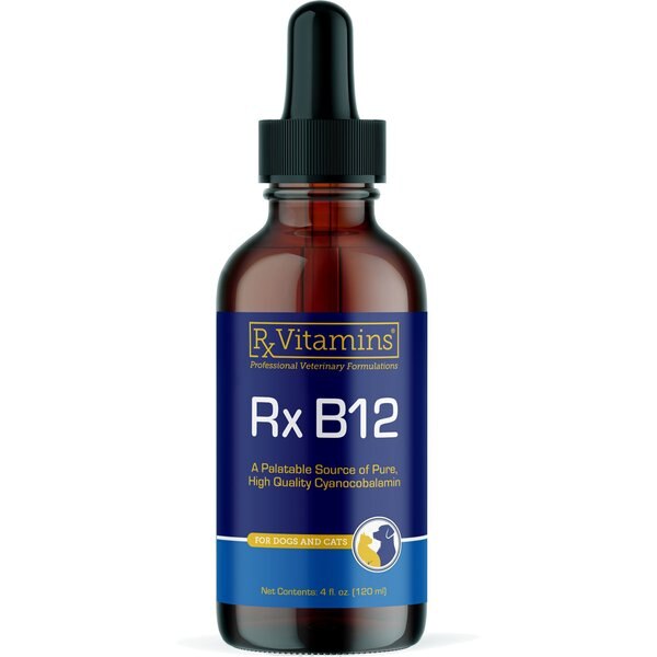 RX VITAMINS Rx B12 Liquid Digestive Supplement for Cats & Dogs, 4-oz ...