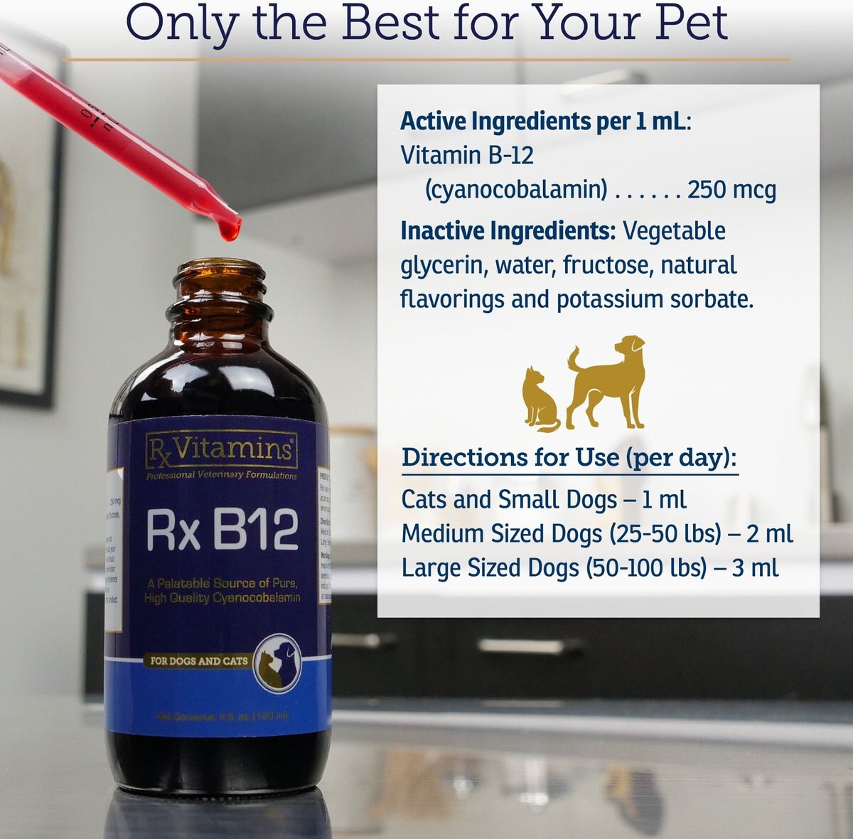RX VITAMINS Rx B12 Liquid Digestive Supplement for Cats & Dogs, 4-fl oz ...