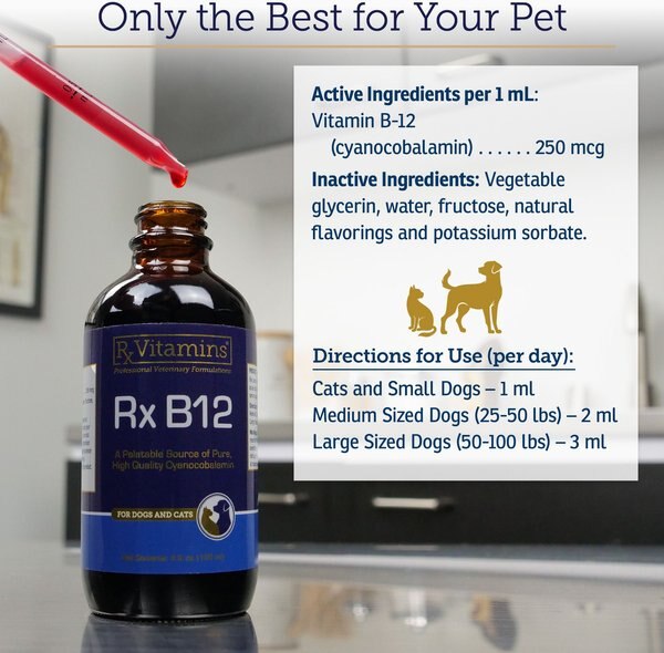RX VITAMINS Rx B12 Liquid Digestive Supplement for Cats & Dogs, 4-fl oz ...