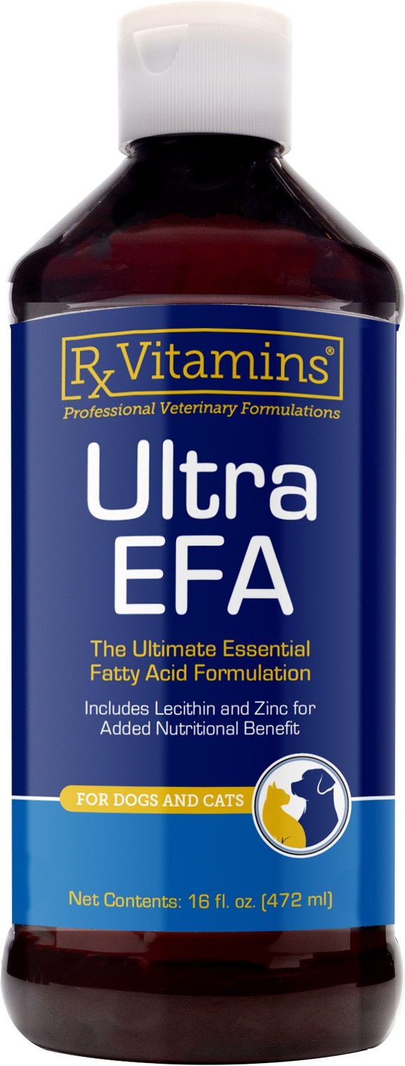 RX VITAMINS Ultra EFA Liquid Skin & Coat Supplement for Cats & Dogs, 16 ...