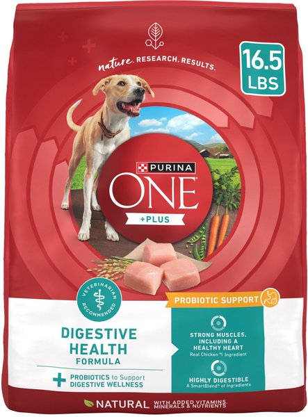 PURINA ONE +Plus Adult Digestive Health Formula Dry Dog Food, 16.5-lb ...