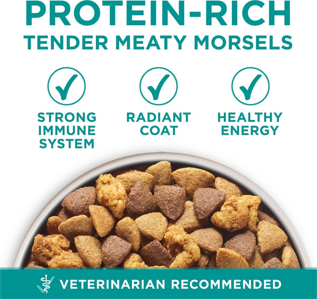 PURINA ONE +Plus Adult Digestive Health Formula Dry Dog Food, 16.5-lb ...