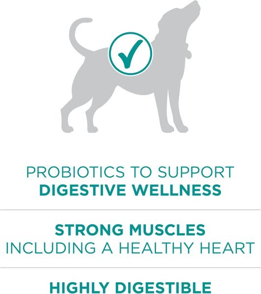 PURINA ONE +Plus Adult Digestive Health Formula Dry Dog Food, 16.5-lb ...