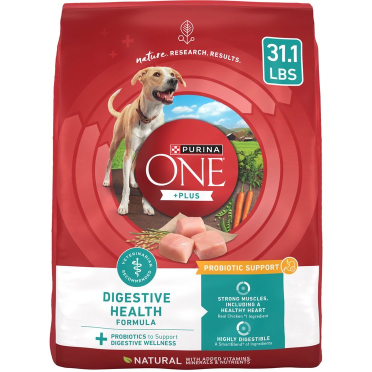 PURINA ONE DRY DOG FOOD (Free Shipping) | Chewy