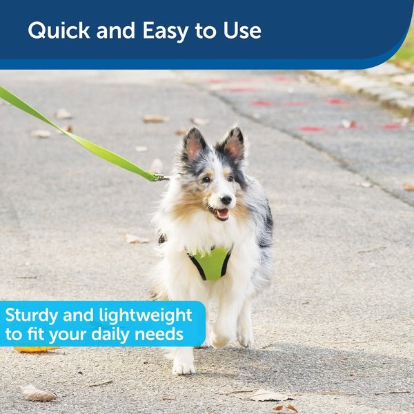 PETSAFE Nylon Dog Leash, Apple Green, 6-ft long, 3/4-in wide - Chewy.com