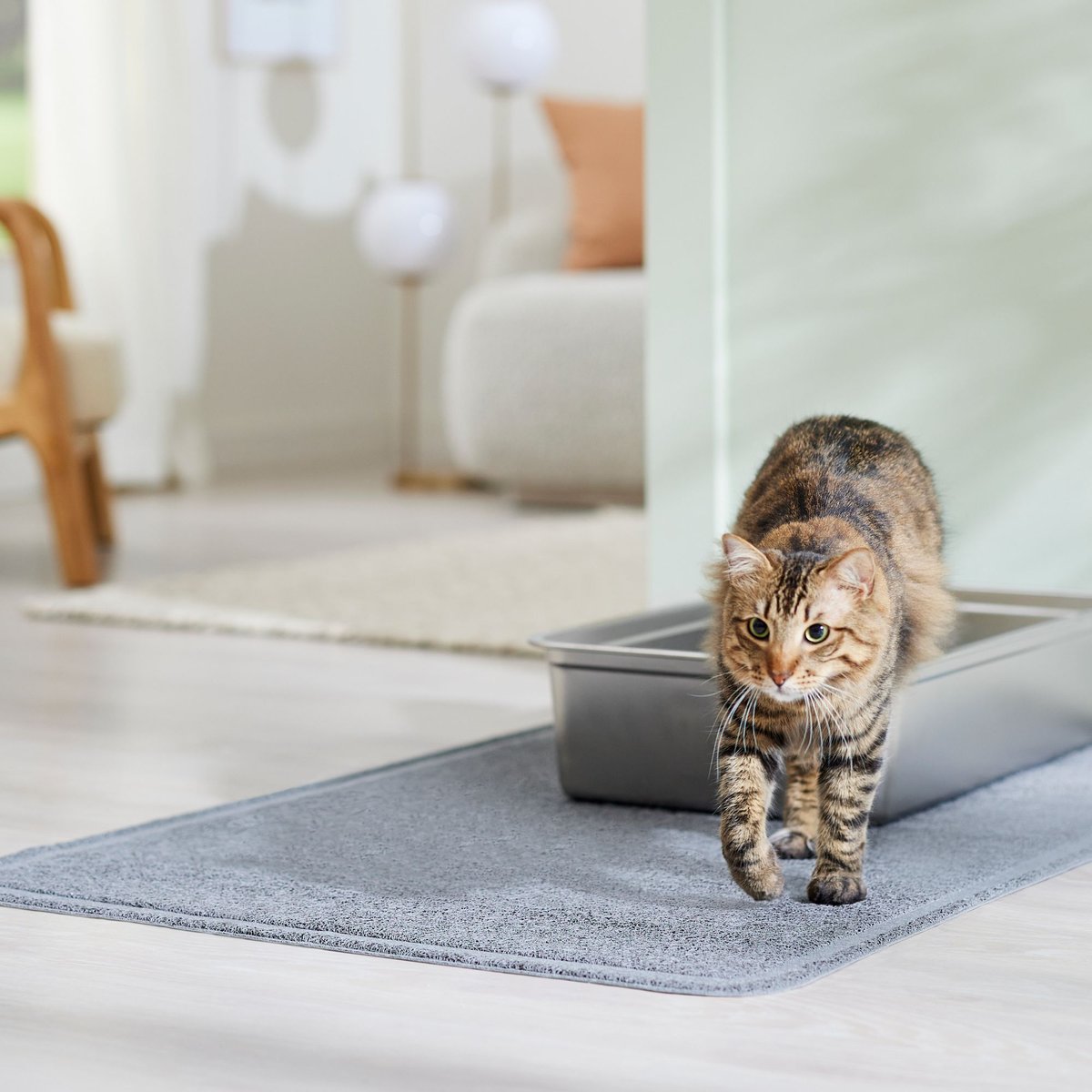 FRISCO Rectangular Cat Litter Mat, Grey, X-Large - Chewy.com