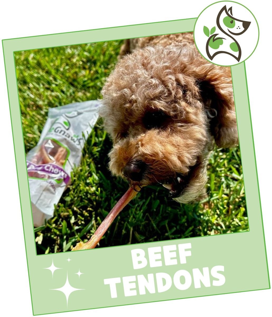NATURE GNAWS 7 to 11-in Beef Tendon Chews Natural Dog Chew Treats, 6 ...