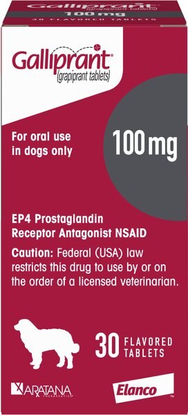Discontinued - GALLIPRANT Tablets for Dogs, 100-mg, 30 tablets - Easy ...