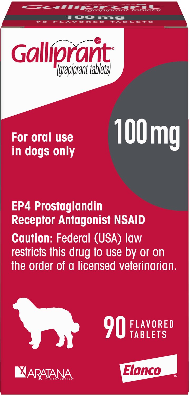 GALLIPRANT Tablets for Dogs, 100-mg, 90 tablets - Chewy.com