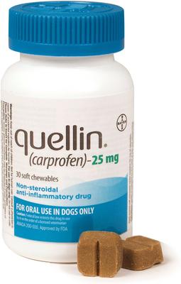 Discontinued - QUELLIN (Carprofen) Chew for Dogs, 25-mg, 30 Chews ...