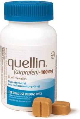 Discontinued - QUELLIN (Carprofen) Chew for Dogs, 100-mg, 30 Chews ...