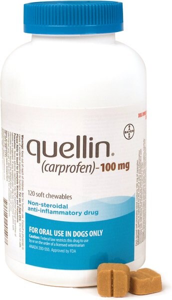 Temporarily Unavailable - QUELLIN (Carprofen) Chew for Dogs, 100-mg ...
