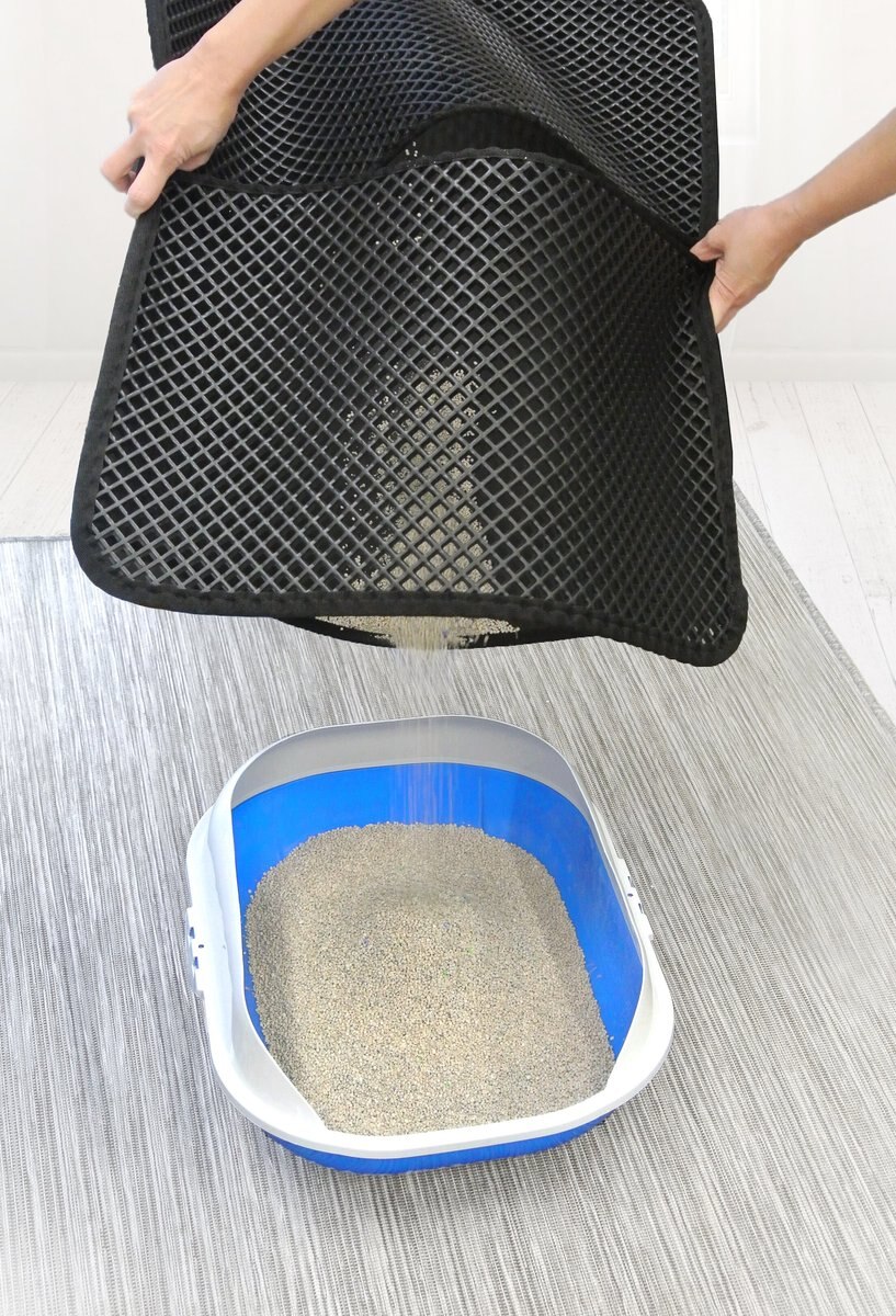 FRESH KITTY The Grate Cat Litter Mat, Large - Chewy.com