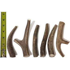 10 Best Dog Antlers 2024: According to Reviews | Chewy