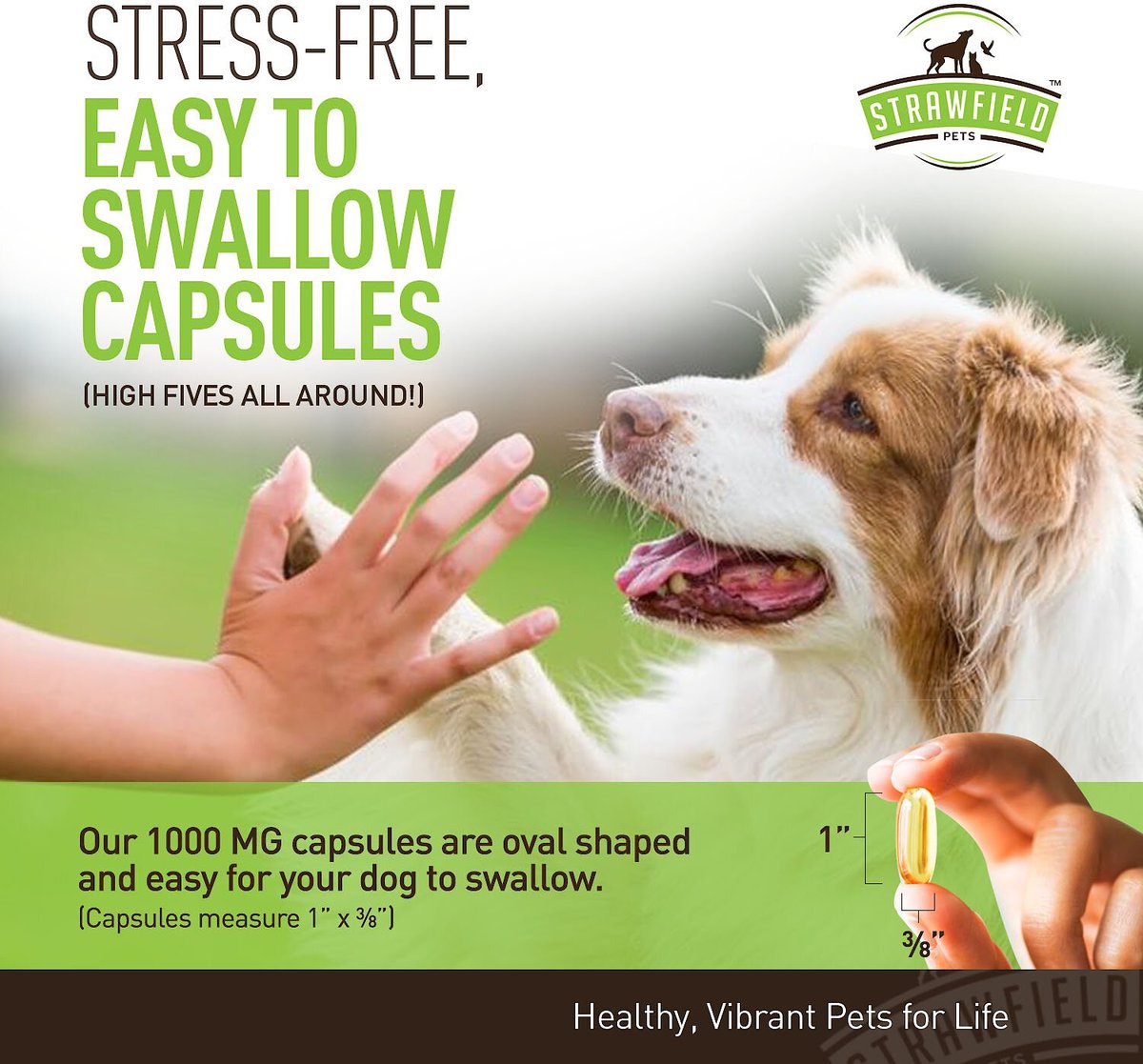 Out of Stock - STRAWFIELD PETS Omega-3 Soft Gels Dog Supplement, 250 ...