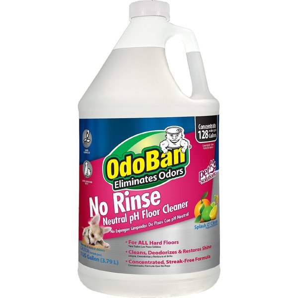 ODOBAN No Rinse Neutral pH Floor Cleaner, Citrus Scent, 1-gal bottle ...