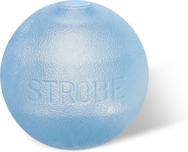 OUTWARD HOUND Orbee-Tuff LED Strobe Ball Tough Dog Chew Toy, Blue ...