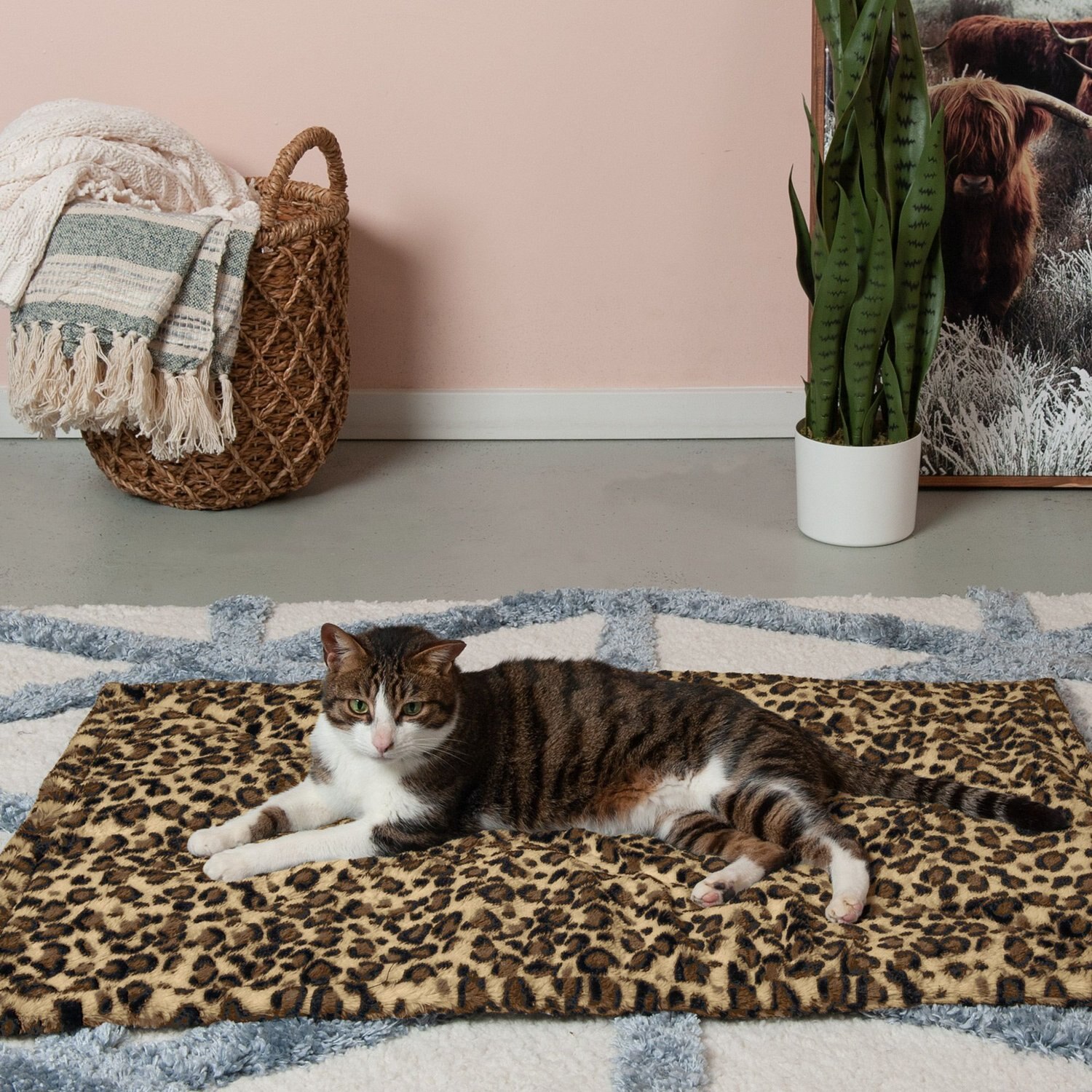 FURHAVEN ThermaNAP Faux Fur Self-Warming Dog & Cat Mat, Leopard, Small ...