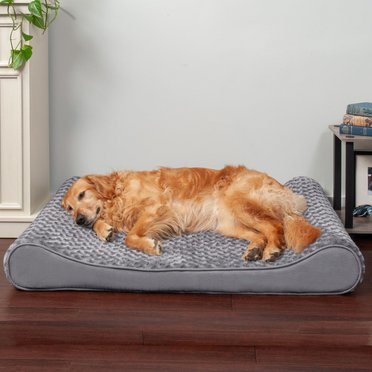 MEDIUM DOG BEDS (Free Shipping) | Chewy
