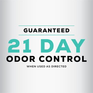 10 Best Lightweight Cat Litters 2024: According to Reviews | Chewy