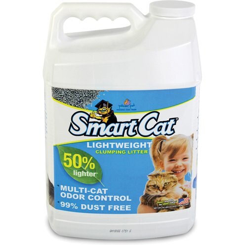 Lightweight Cat Litter: Best Lightweight Kitty Litter (Free Shipping ...